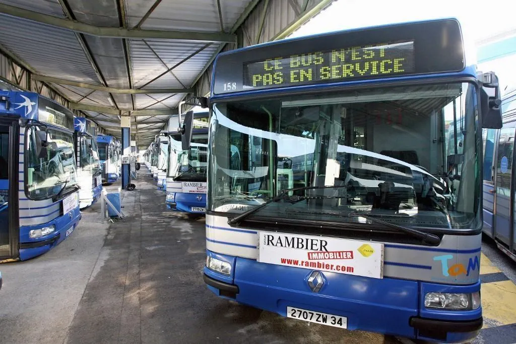 Les transports publics de Montpellier deviendront gratuits en décembre ...