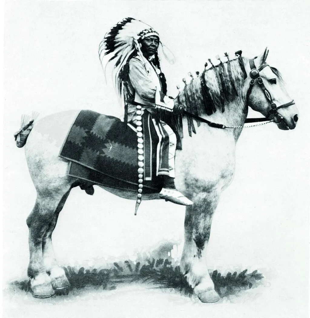 Il raconte l’incroyable épopée du cheval percheron - Le Mans.maville.com