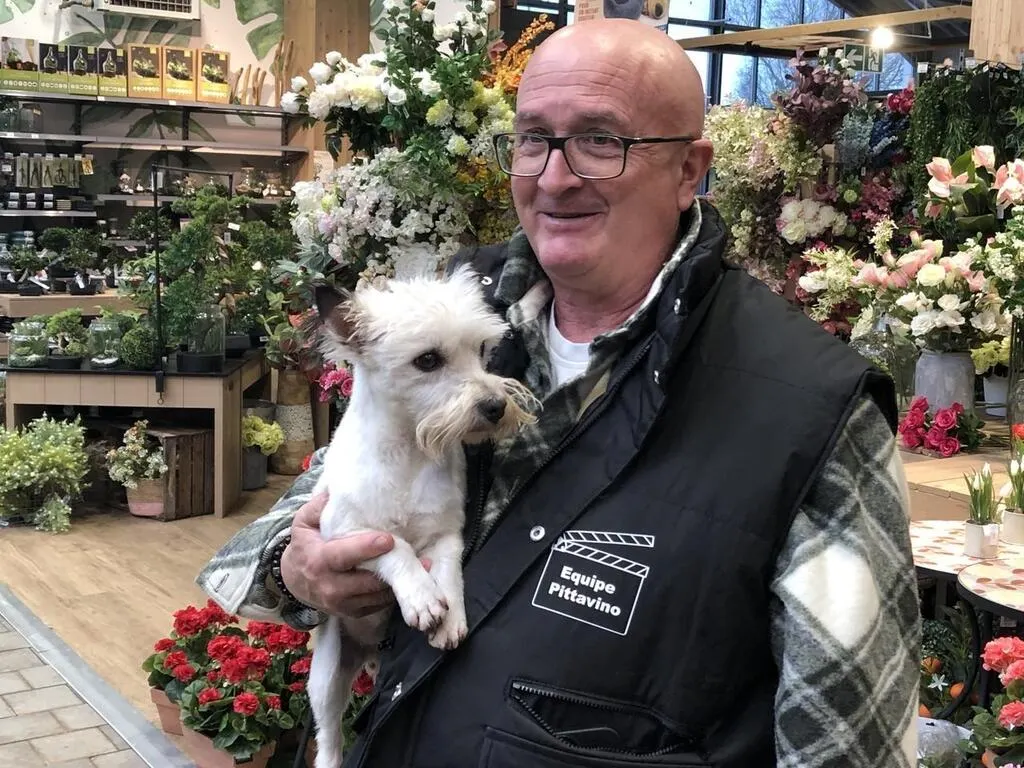 Les Sables-d’Olonne. Idéfix en parade à la jardinerie VillaVerde - Les ...