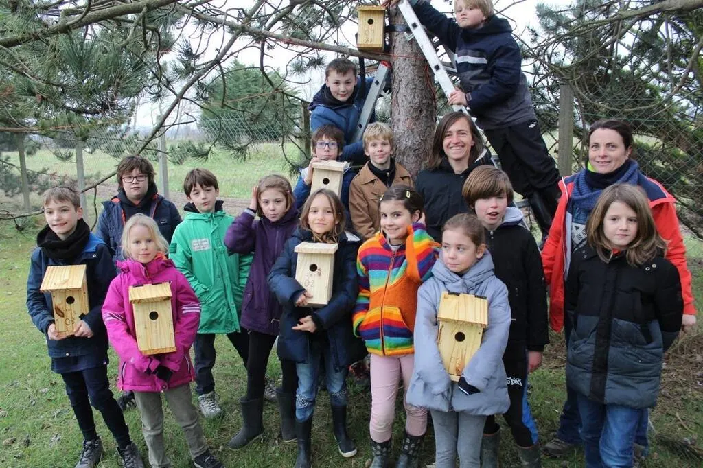 Bréhal. Les enfants du Club nature luttent contre les chenilles - Saint ...