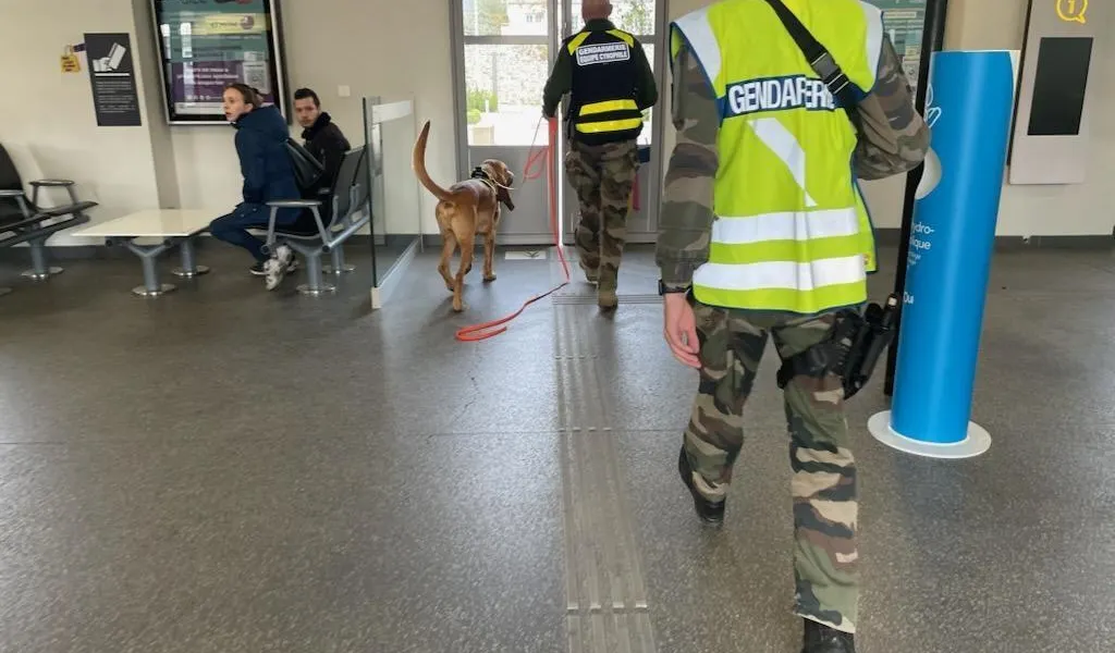 Un homme porté disparu à Redon, la gendarmerie lance un avis de ...