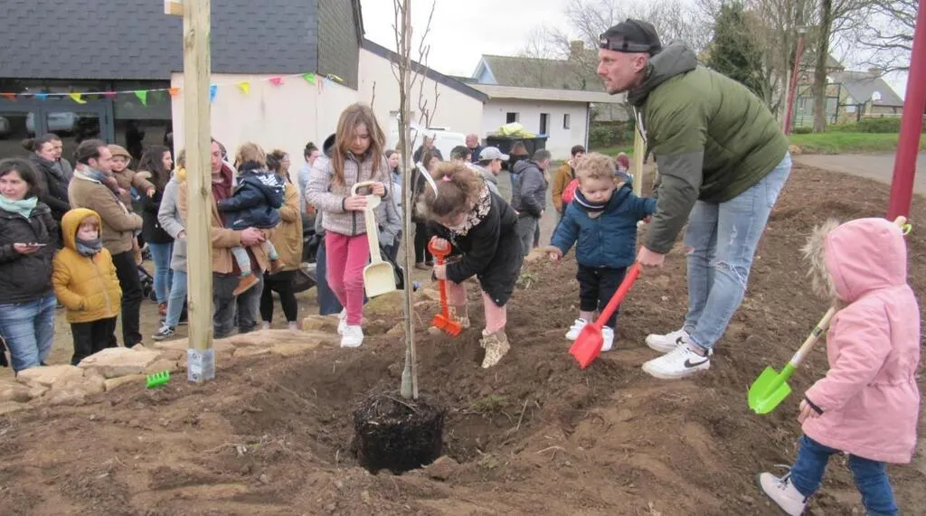 Kermaria-Sulard. Trois arbres de naissance ont été plantés - Lannion ...