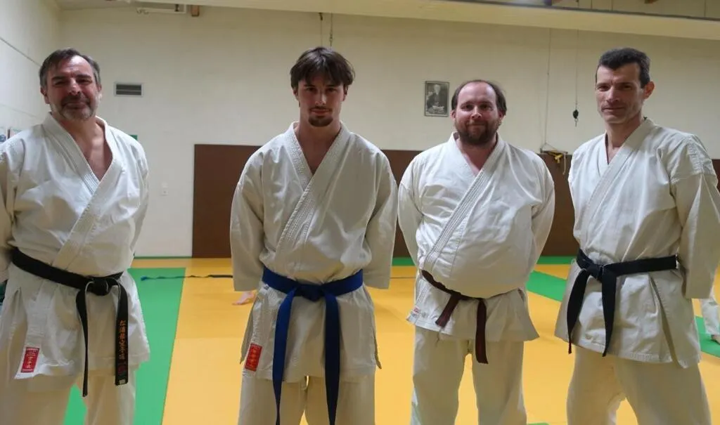 Thorigné-Fouillard. Nathan Rolland, champion de Bretagne de karaté ...