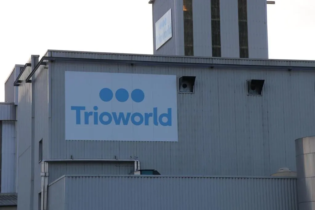 À Pouancé, Trioworld se lance dans les sacs-poubelles - Angers.maville.com