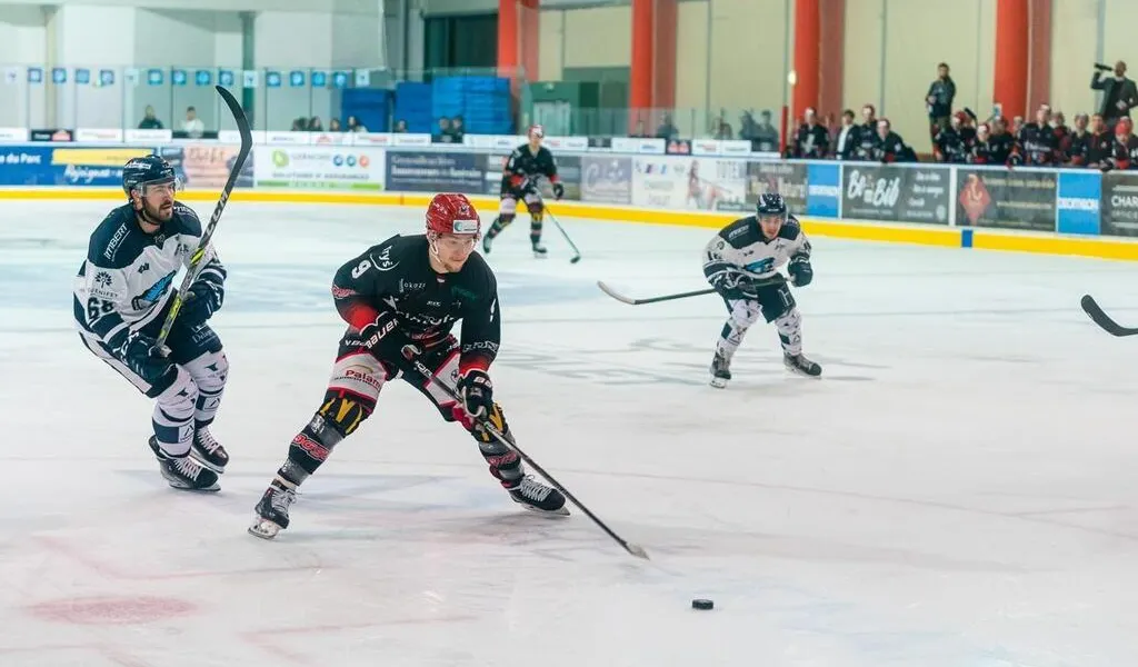 Hockey sur glace. D1 : les Dogs de Cholet éteignent l’Étoile Noire de ...