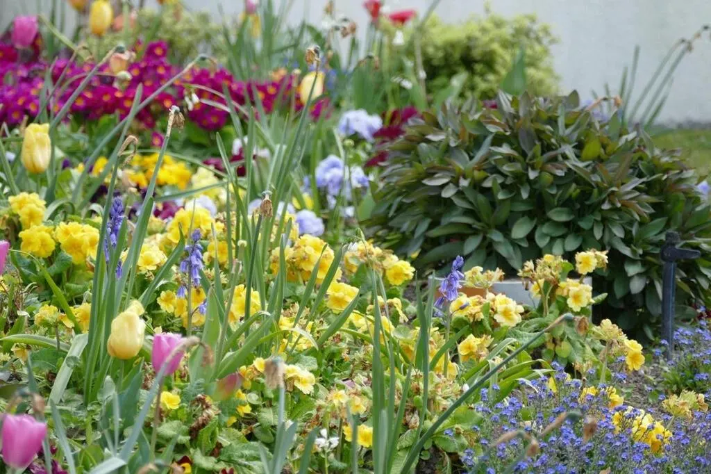 Villes et villages fleuris : combien de « fleurs » ont les communes de ...