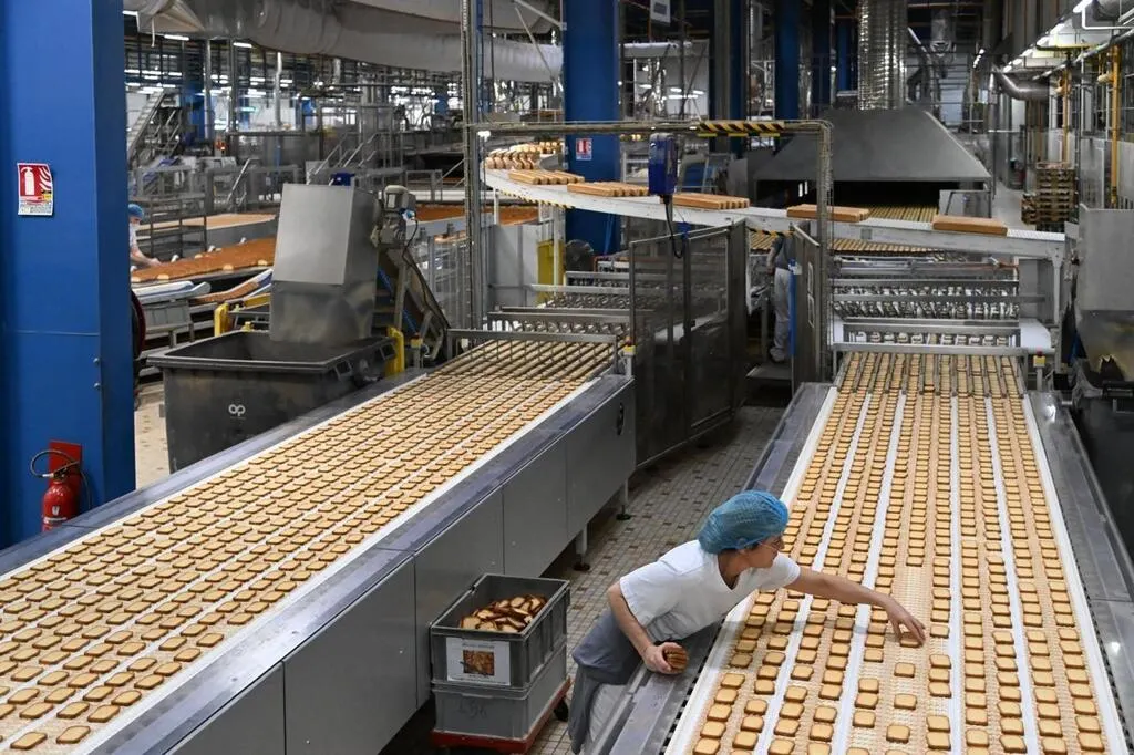 REPORTAGE. Près d’Angers, neuf millions de biscottes sortent chaque ...