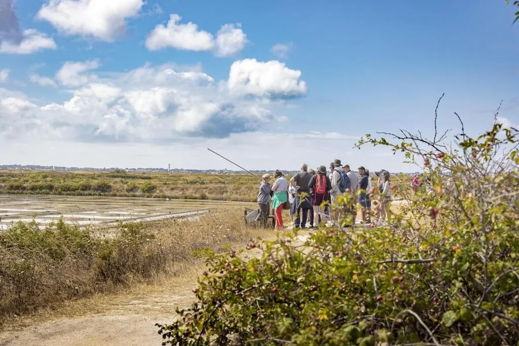 Top 10 des activités à faire dans la Presqu’île guérandaise pendant les ...