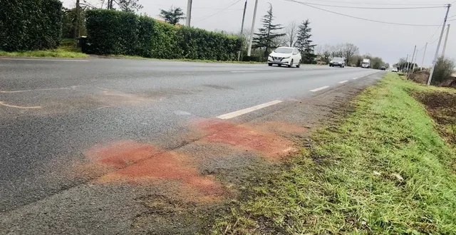 Un scootériste tué en percutant une vache en divagation au sud de ...