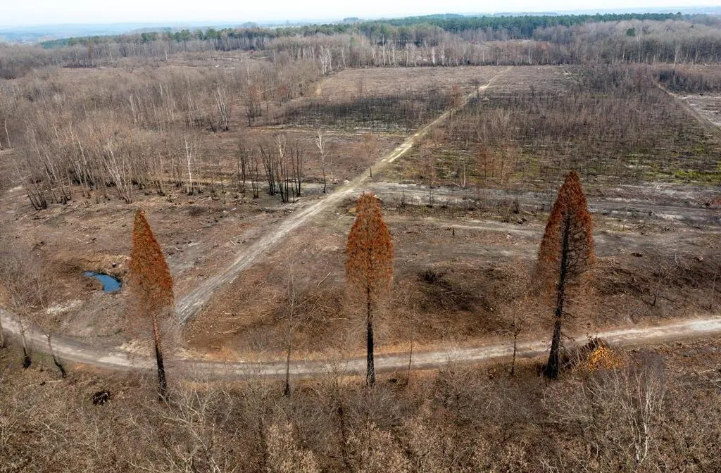 EN IMAGES. Vue du ciel, à quoi ressemble la forêt de Baugé six mois ...