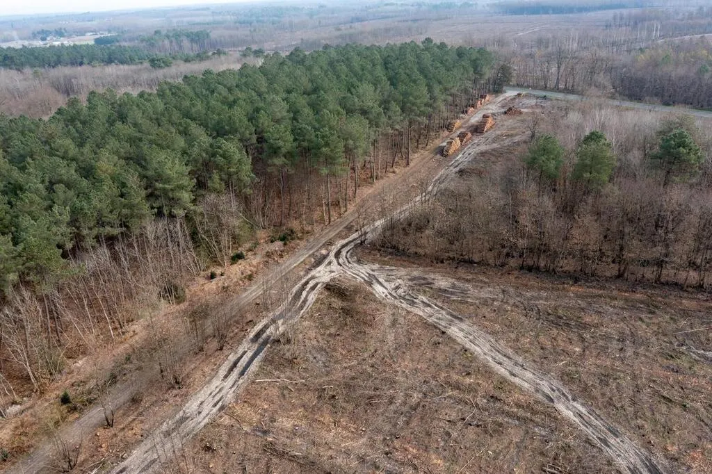 EN IMAGES. Vue du ciel, à quoi ressemble la forêt de Baugé six mois ...
