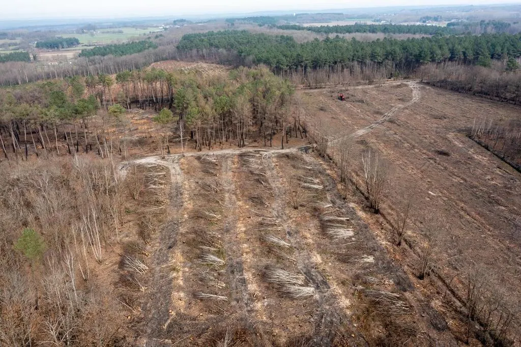 EN IMAGES. Vue du ciel, à quoi ressemble la forêt de Baugé six mois ...