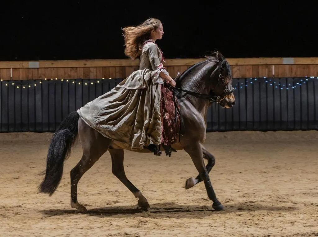 À Porcaro, un centre équestre pas comme les autres - Lorient.maville.com