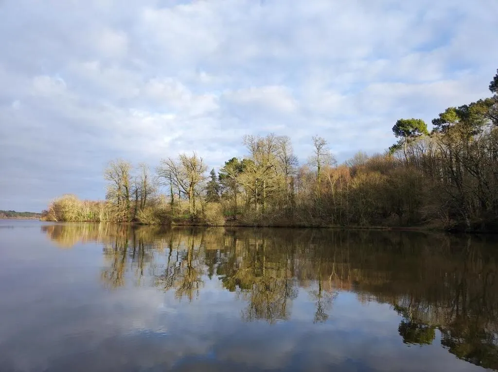 Loire-Atlantique. À la découverte des marais de Fégréac au travers du ...