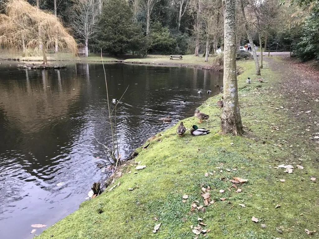 Saint-Malo. L’étang du Vau Garni, un « havre de paix » envasé - Saint ...