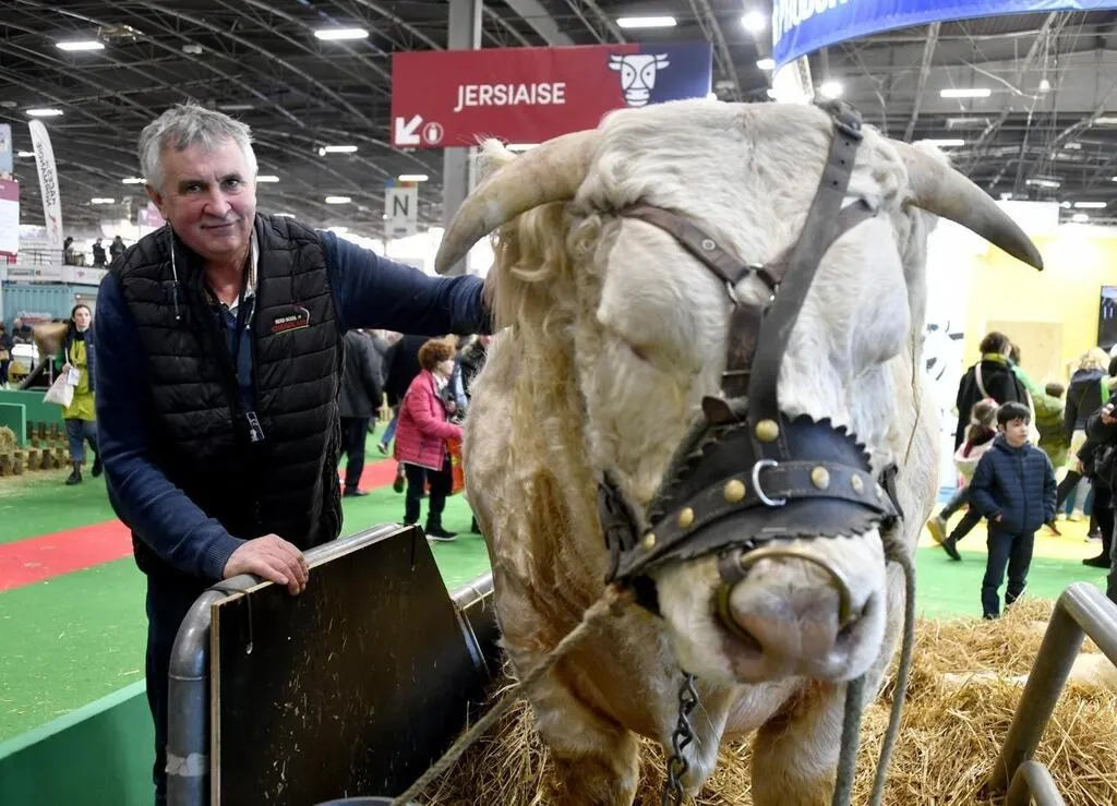 Salon de l’agriculture. La viande bovine victime des départs à la ...