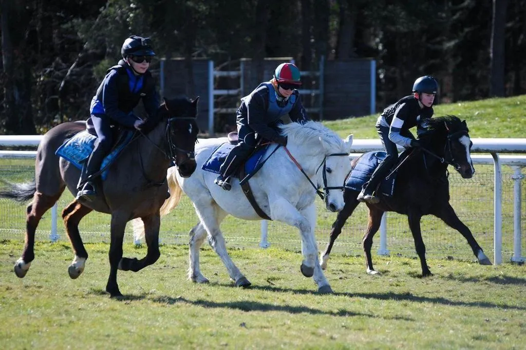 À Ginai, ces apprentis jockeys ont couru leur première course hippique ...