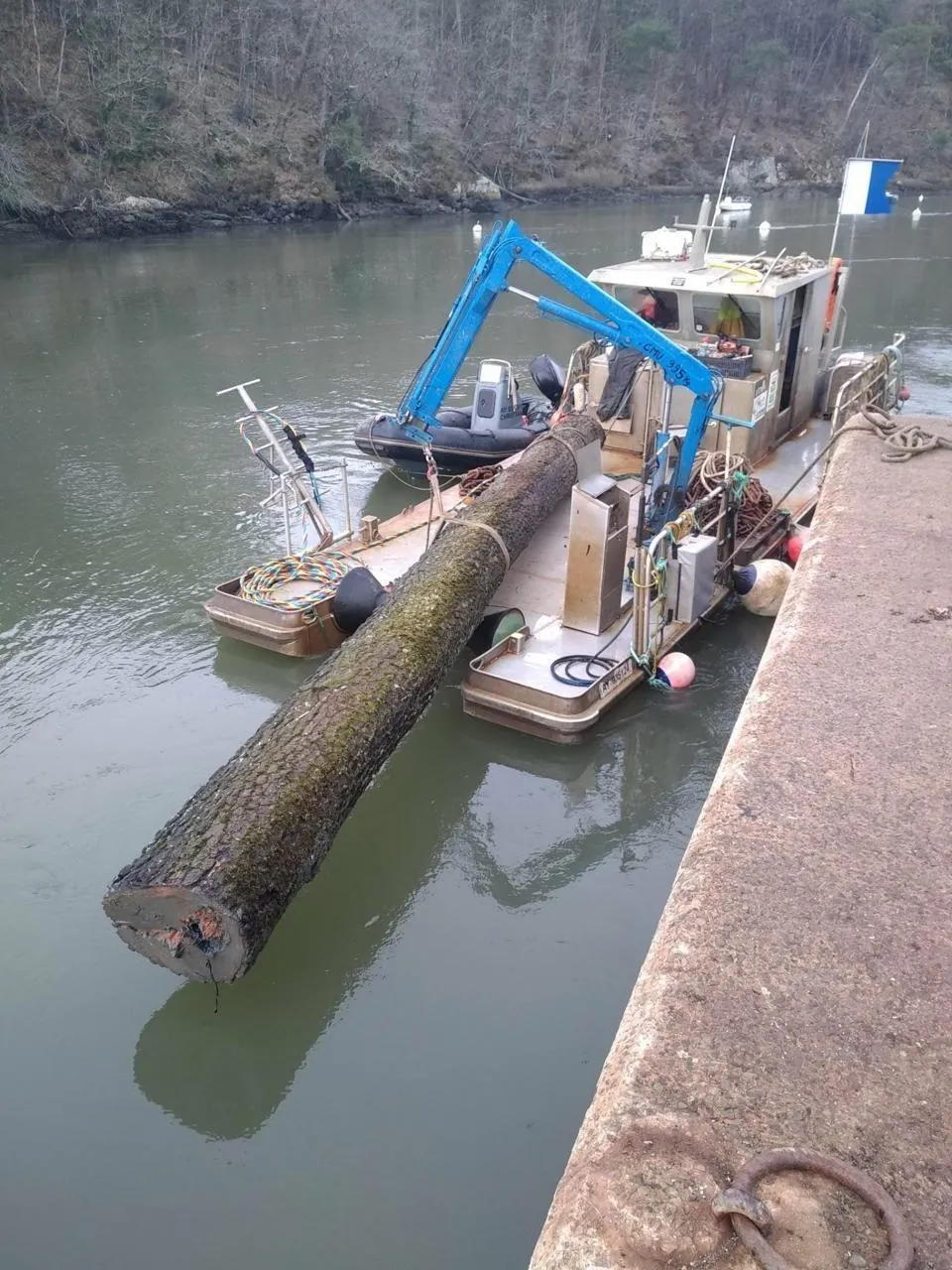 Au Bono ou à Pluneret, la chute des arbres dans la rivière suscite des ...