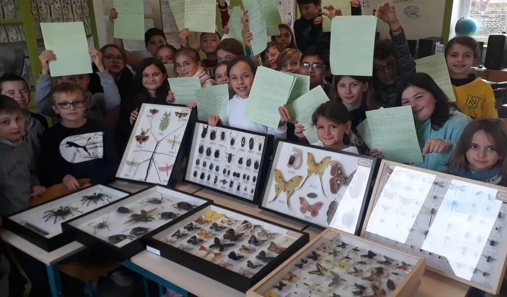 Epiniac. Un petit musée d’entomologie à l’école - Rennes.maville.com