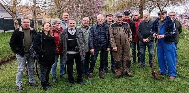 Ruaudin. Un atelier de taille d’arbres fruitiers organisé ce samedi ...