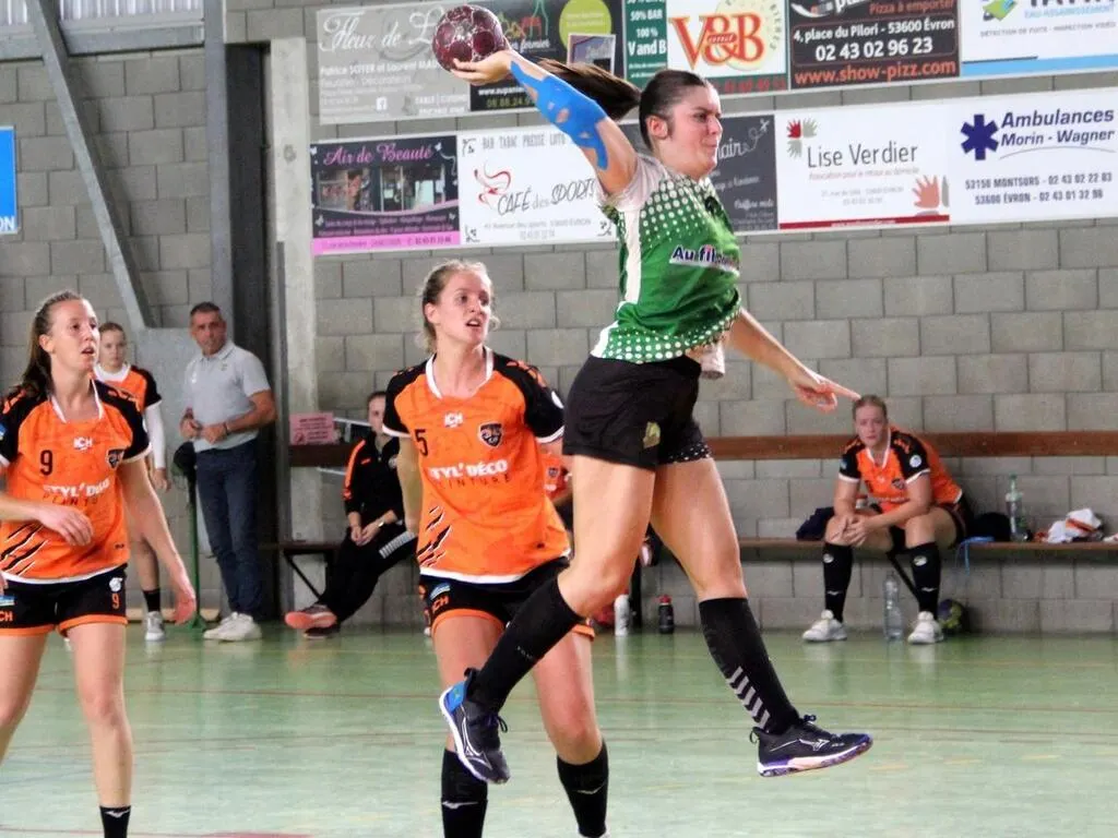 Omnisport. Nationaux : Où en sont les clubs mayennais à l’approche de ...