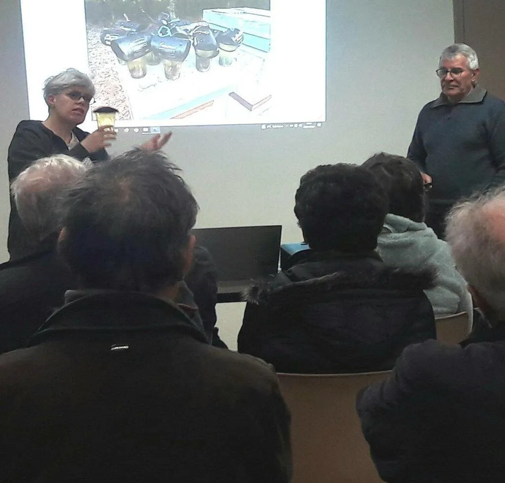 Pleudihen-sur-Rance. Une réunion pour lutter contre les frelons ...
