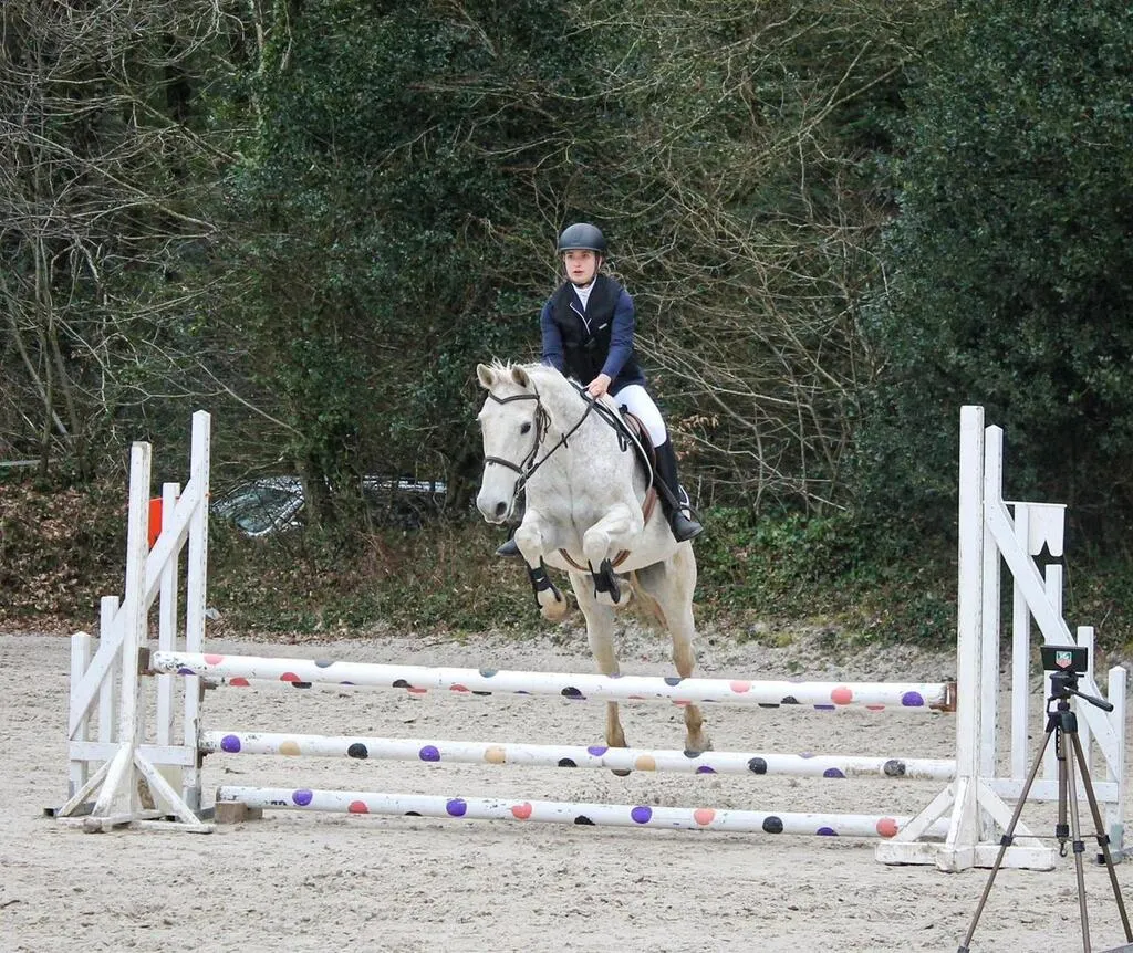 Quimperlé. Équitation : un concours de sauts d’obstacles réussi à ...