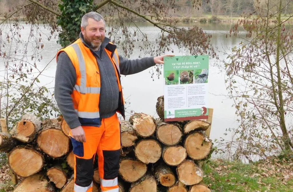 Argentré. Des abris pour la petite faune autour du plan d’eau - Laval ...
