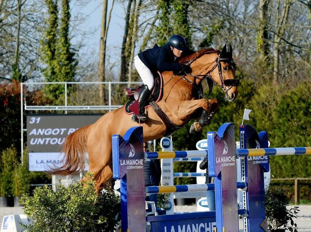 Orne - Équitation. Tournée des grêlons à Auvers 2023 : Reynald Angot remporte la première ...