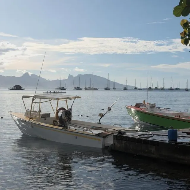 En Polynésie, comment le « rahui », sanctuaire ancestral des ...