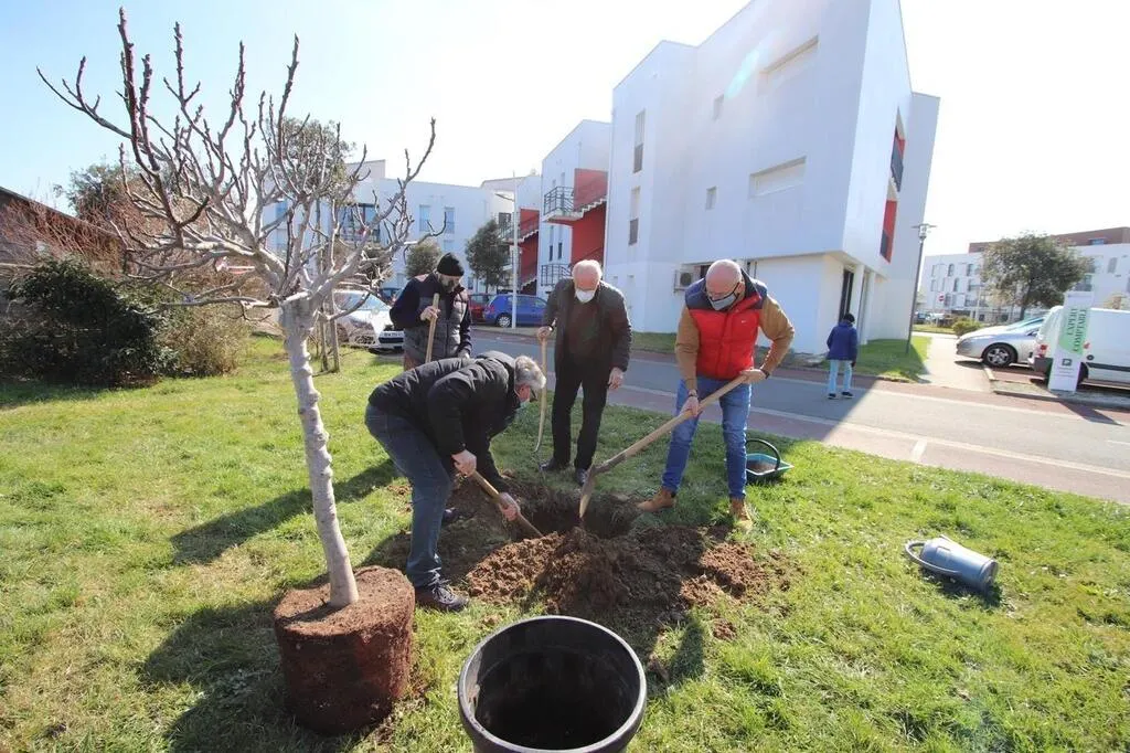 Une conférence-débat sur l’arbre, au milieu des enjeux climatiques à ...
