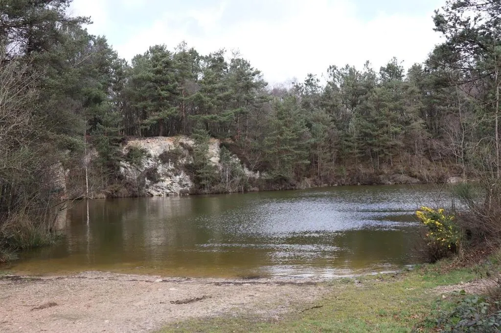 EN IMAGES. Petite virée dans l’immense forêt d’Avaugour – Bois-Meur à ...