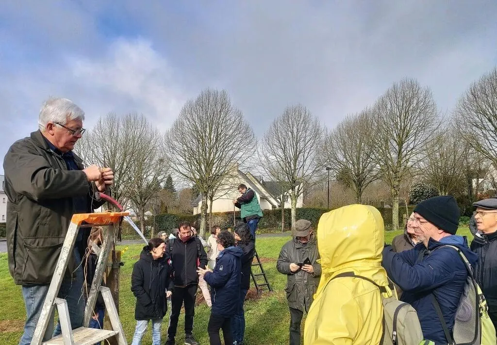 Saint-Jacques-de-la-Lande. Les pommiers du verger participatif ont été greffés - Fougères ...