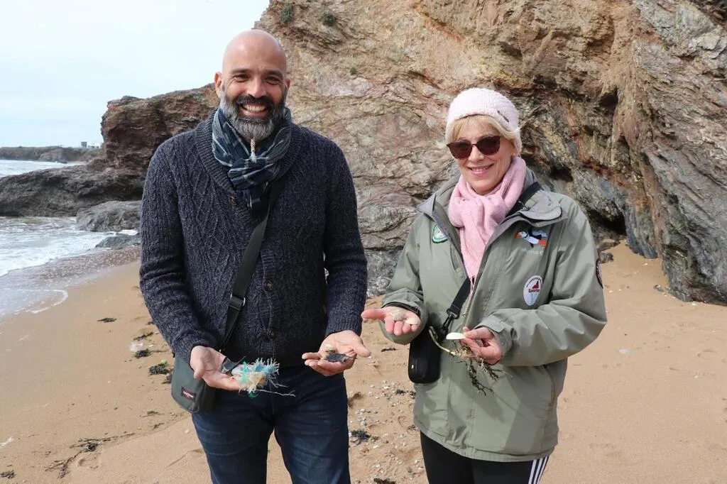 Cinq conseils à suivre pour une sortie pêche à pied qui respecte l ...