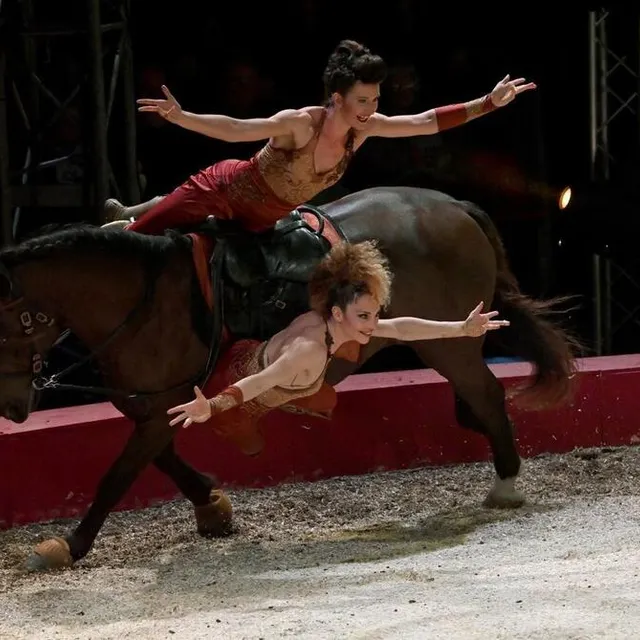 EN IMAGES. Le 10e Festival international du cirque de Bayeux est lancé ...