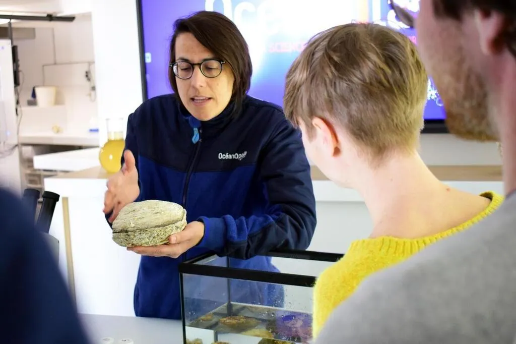 À Brest, qu’est-ce qu’Océanolab, le nouvel espace proposé par ...