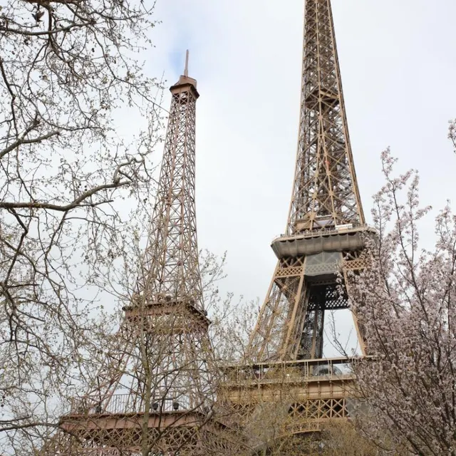 EN IMAGES. « C’est décalé et improbable » : il plante une autre tour ...