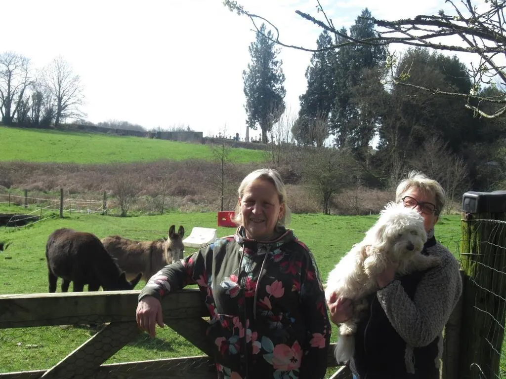 La Ferté-Macé. Un projet de médiation animale afin de donner du bien ...