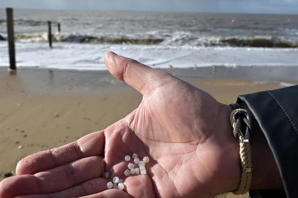 Préservons les océans. Les échos de la mer - La Baule.maville.com
