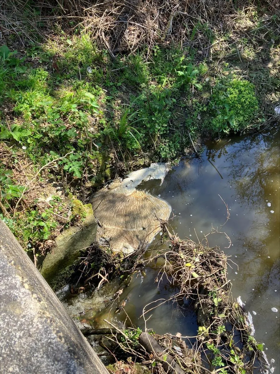 Une plainte déposée par la CLCV après la pollution du Kermélénec, à ...