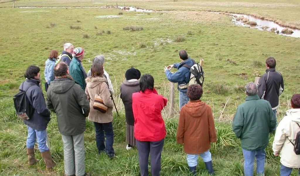 La Flèche. Cinq idées de sorties à faire en famille ce week-end - Le ...
