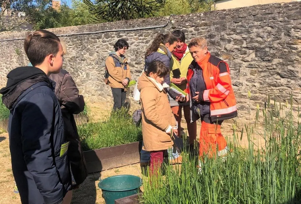 Laval. Tout savoir sur les pollens dans le jardin de la Perrine - Laval ...
