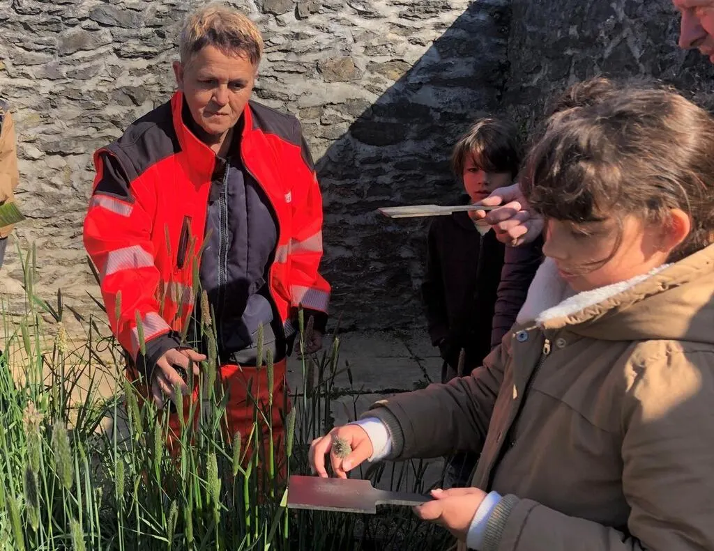 Laval. Tout savoir sur les pollens dans le jardin de la Perrine - Laval ...