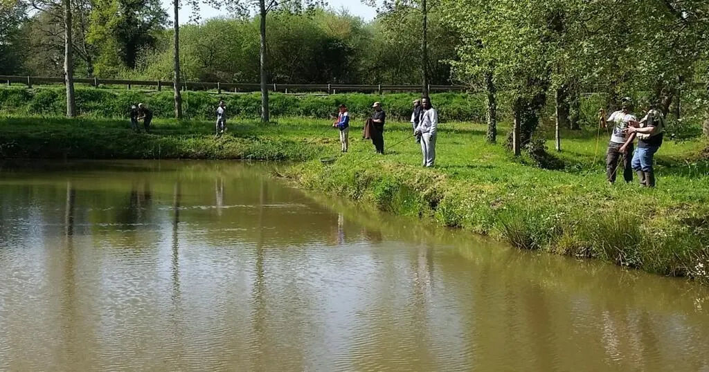Bazouges-la-Pérouse. Un concours de pêche à l’étang de l’Ânerie samedi - Saint-Malo.maville.com