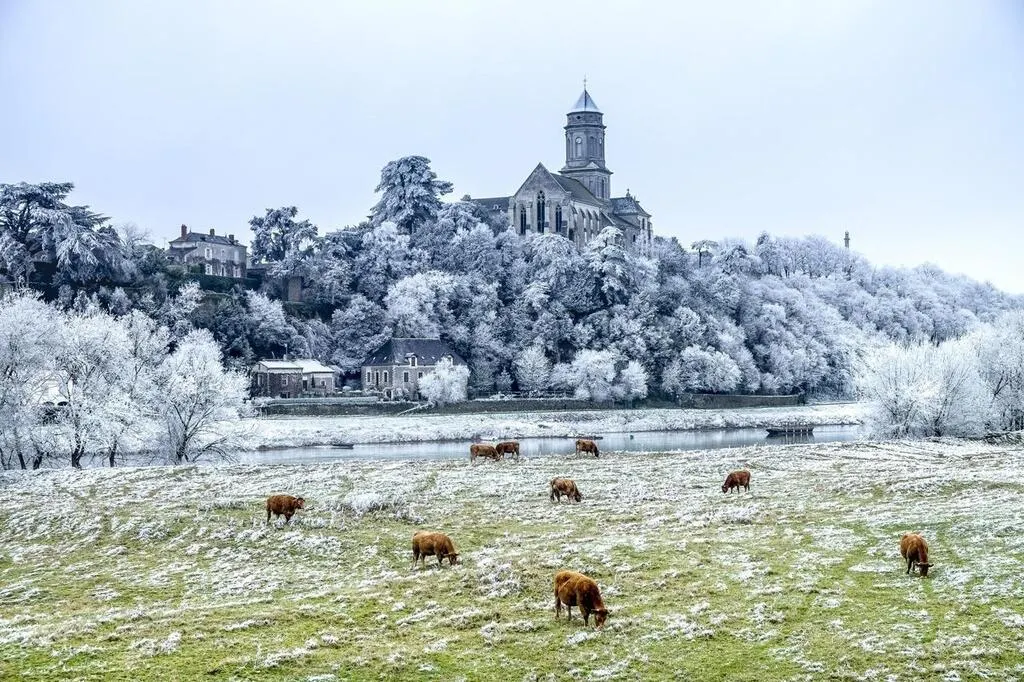 Photographies. Le travail de Dominique Drouet mis en lumière par la ...