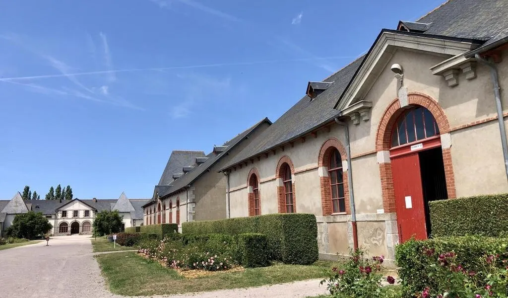 Mille sabots, c’est fini, Equi’festif prend la relève au haras de ...