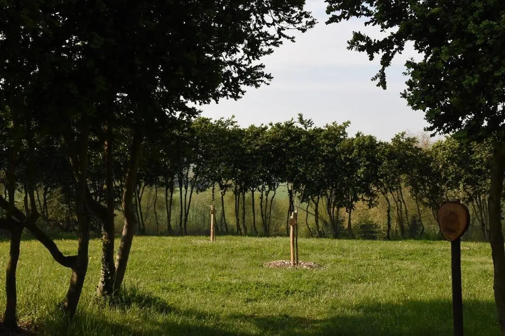 Le parc du château de Sablé-sur-Sarthe, « un des plus beaux endroits de la ville actuellement ...