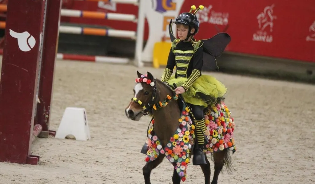 En Images. Poneys sous les Pommiers ne fait pas cavalier seul à Saint ...