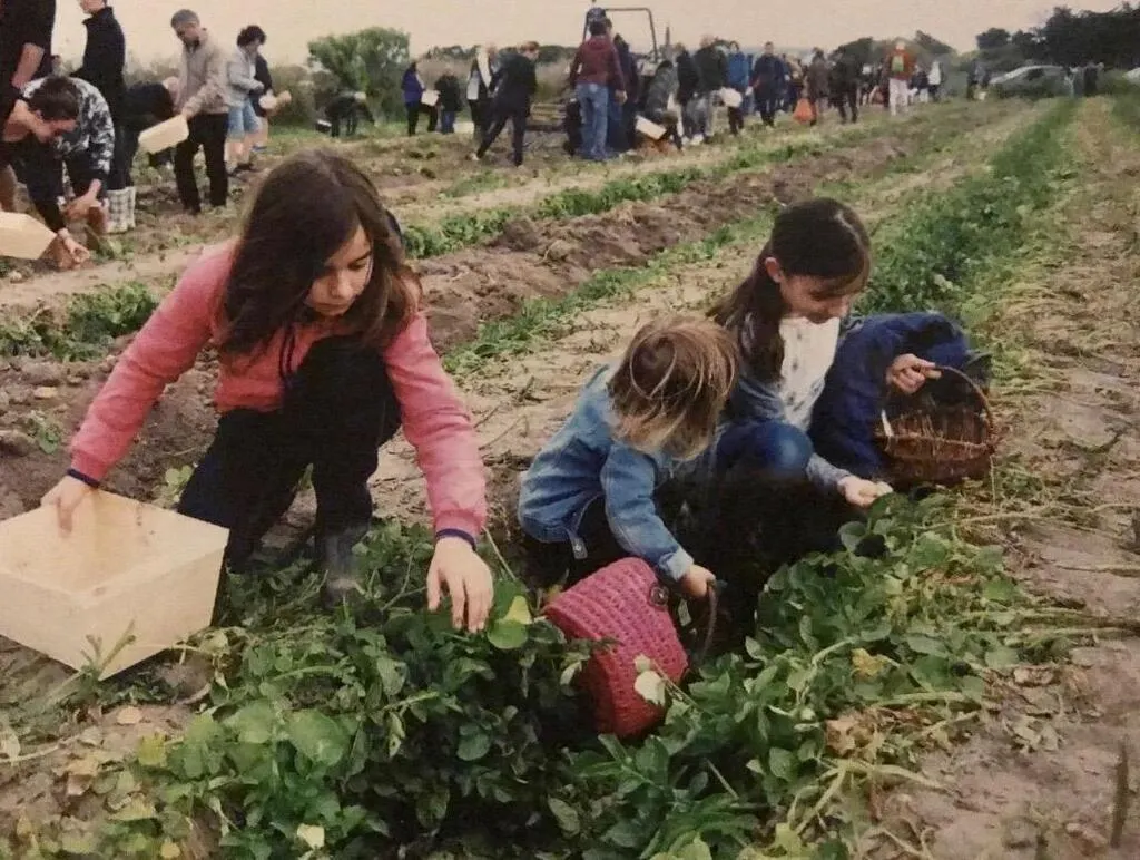 26e fête de la Bonnotte à Noirmoutier samedi - Les Sables d'Olonne ...