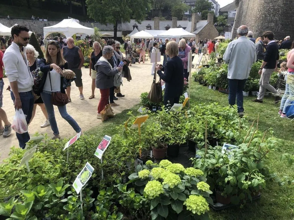 Cinq bonnes raisons d’aller à Vannes côté jardin - Vannes.maville.com